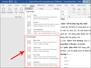 Cách chia Section trong Word dành cho người mới bắt đầu - Kenh29.com